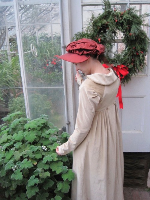 Project Journal: 1815-1820 Regency Ensemble Part V: Completed Spencer ...